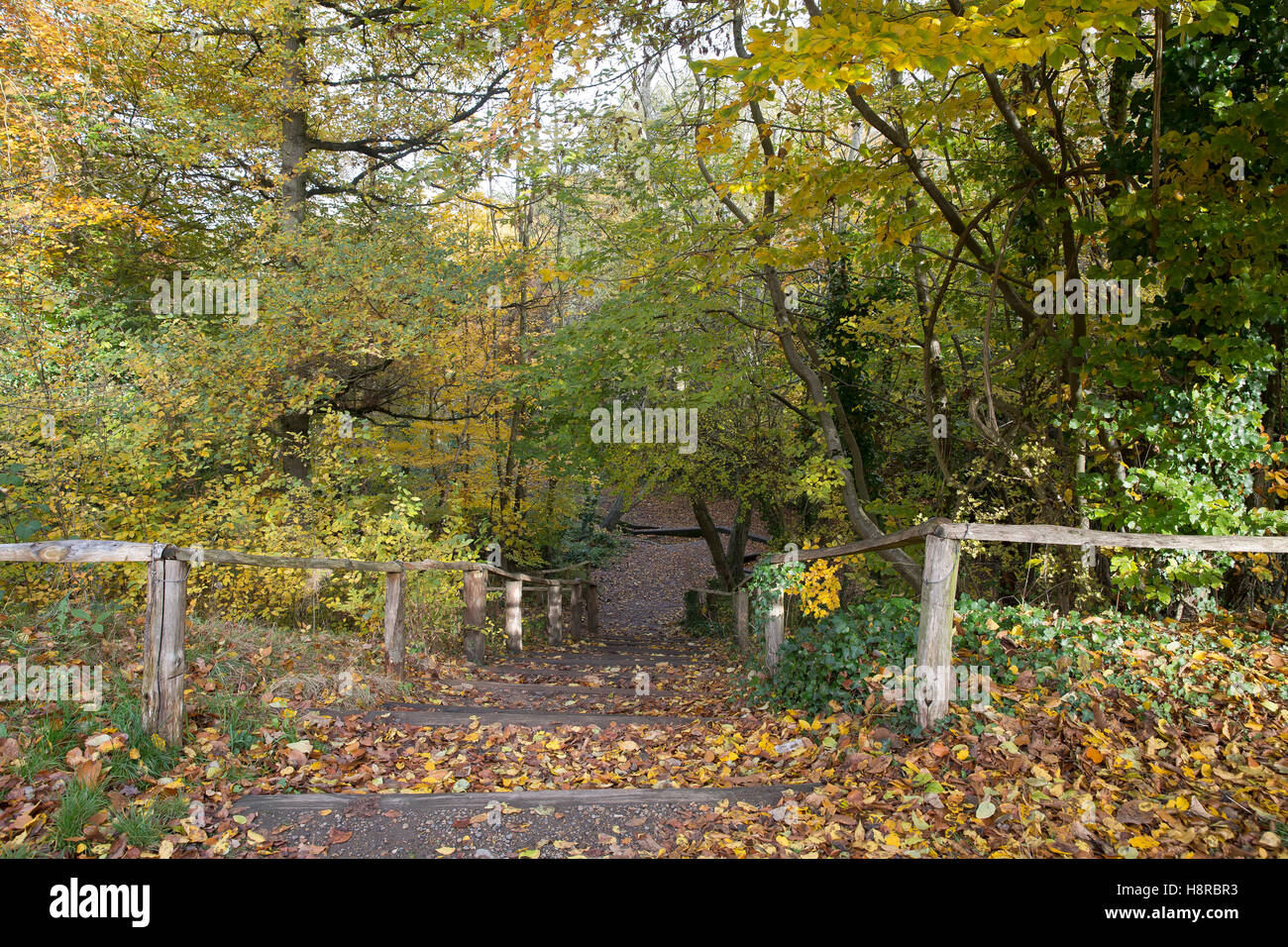 Keston ponds hi-res stock photography and images - Alamy