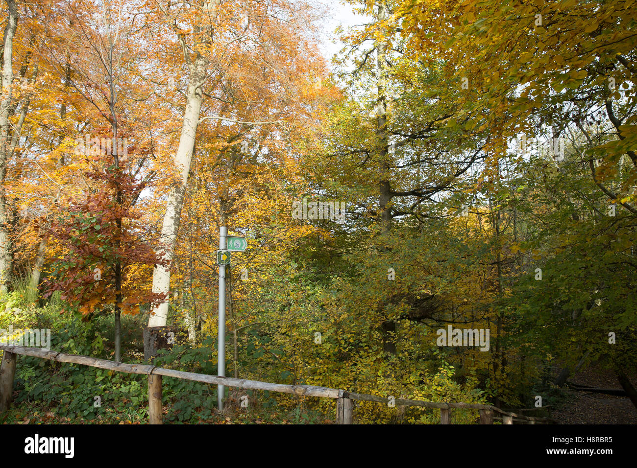 Keston ponds hi-res stock photography and images - Alamy