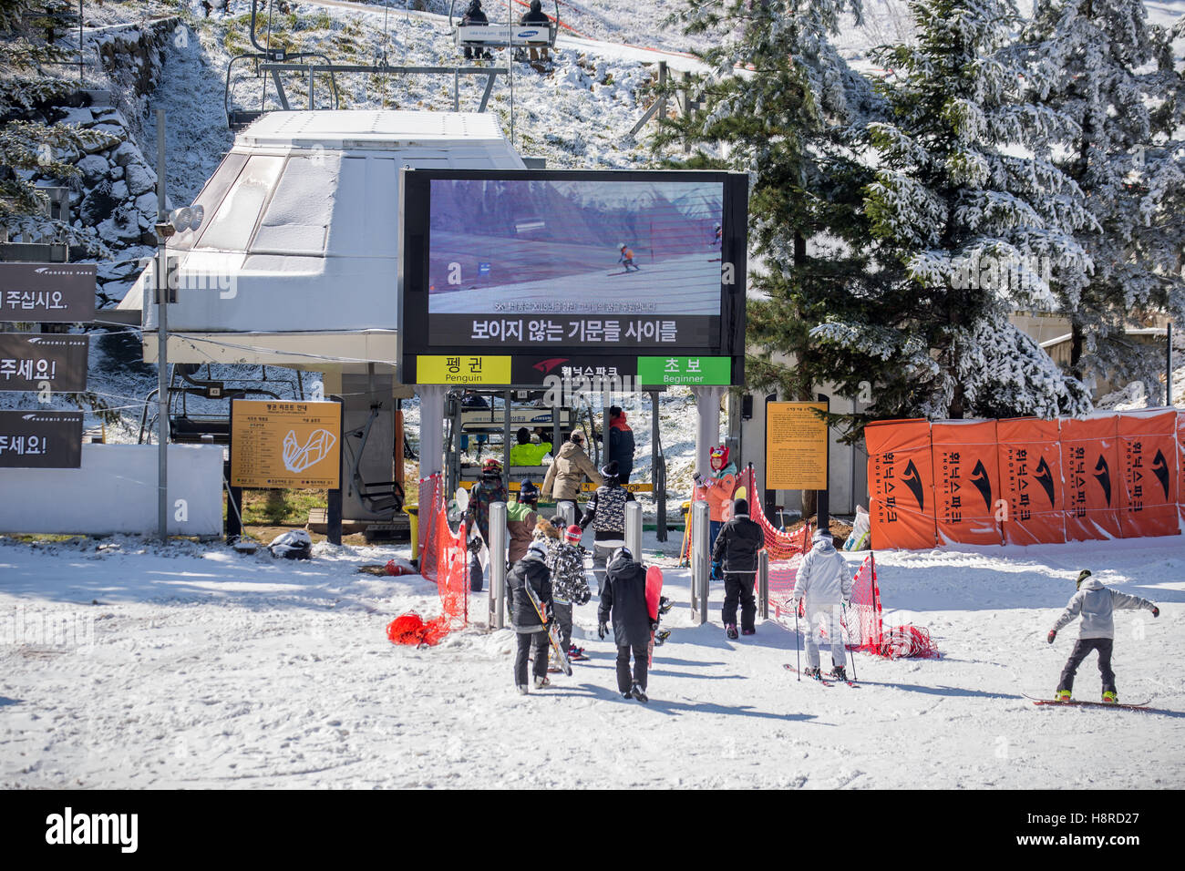 View of the slopes at the Bokwang Snow Park, the future venue of the ...