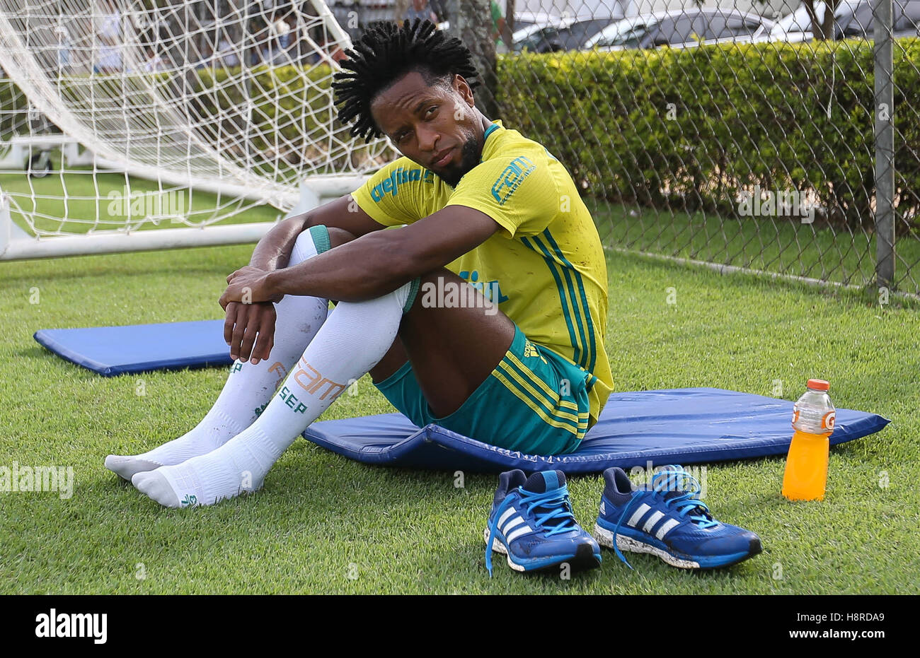 Belo Horizonte, Brazil. 16th Nov, 2016. The player Ze Roberto, the SE ...