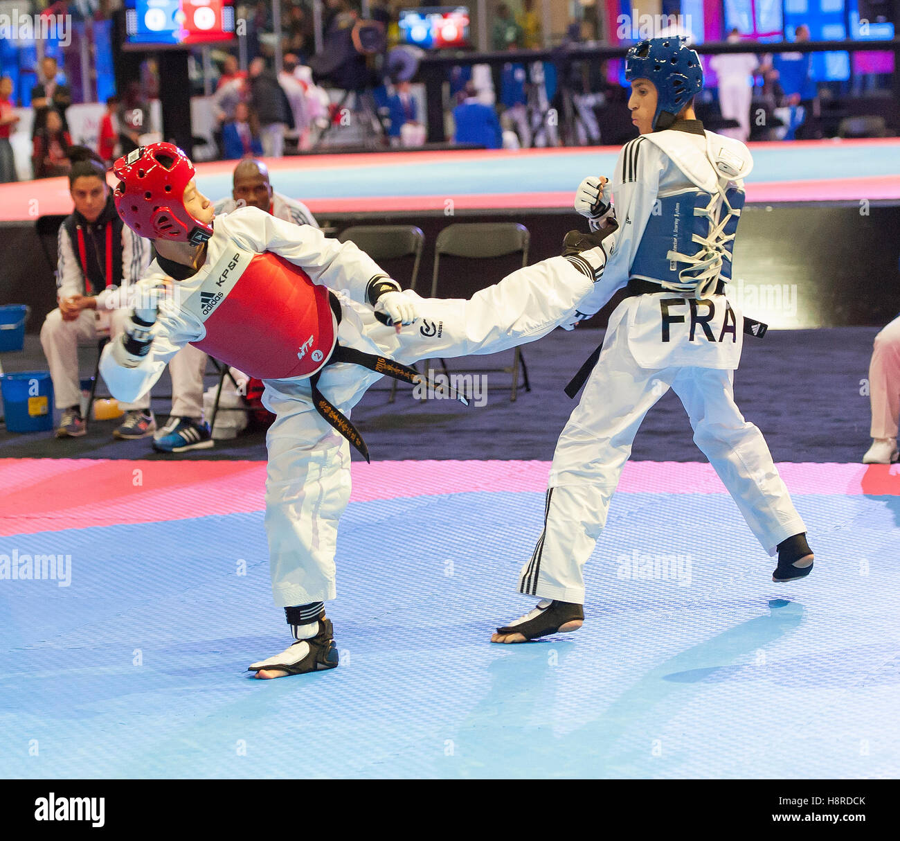 Wtf taekwondo hi-res stock photography and images - Alamy