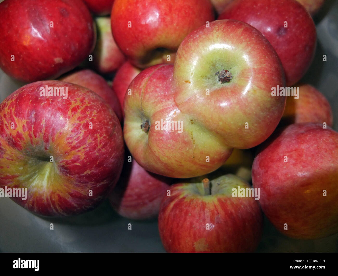 Twins apples: when nature plays Stock Photo - Alamy