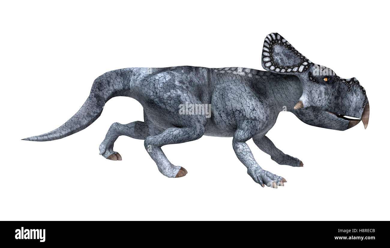 3D rendering of a dinosaur protoceratops isolated on white background ...