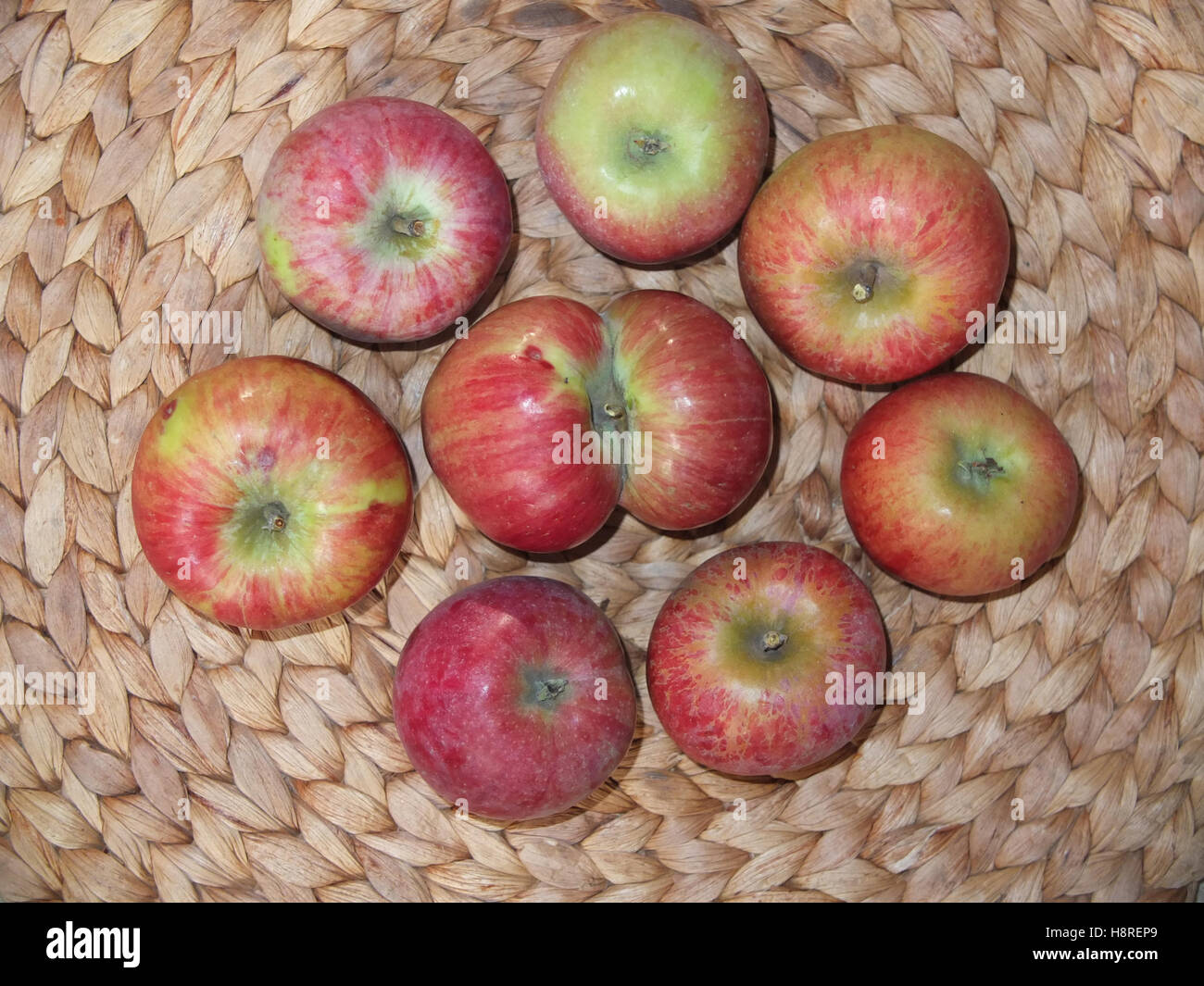 Twins apples: when nature plays Stock Photo - Alamy