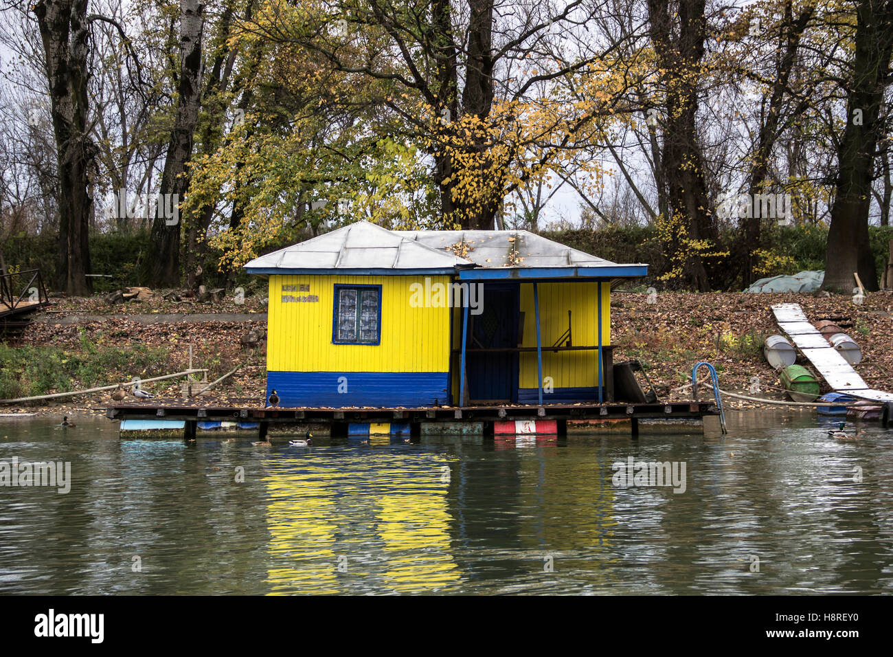 Sava river, Serbia - A yellow raft house moored to the shoreline of Ada ...