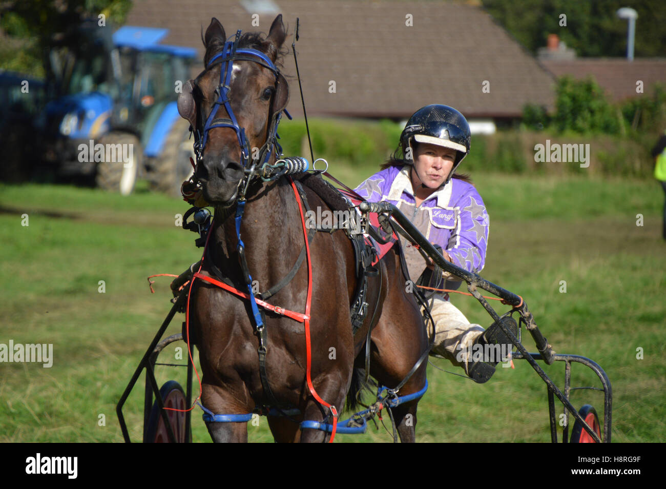 Sulky racing hi-res stock photography and images - Alamy