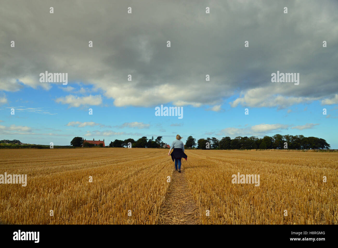 Storm stormy tourist path way hi-res stock photography and images - Alamy