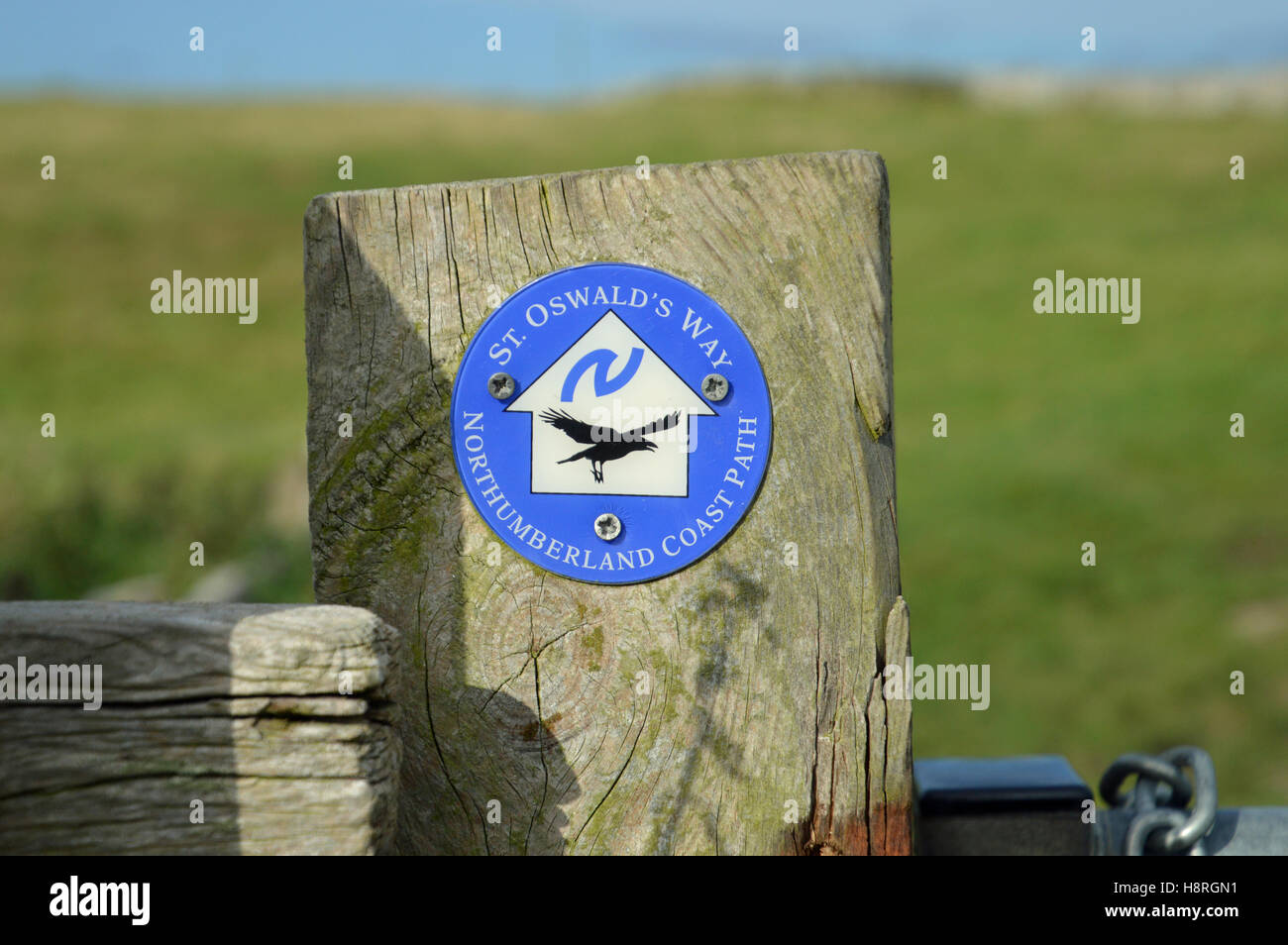 St Oswald's Way footpath marker on gatepost near Seahouses ...