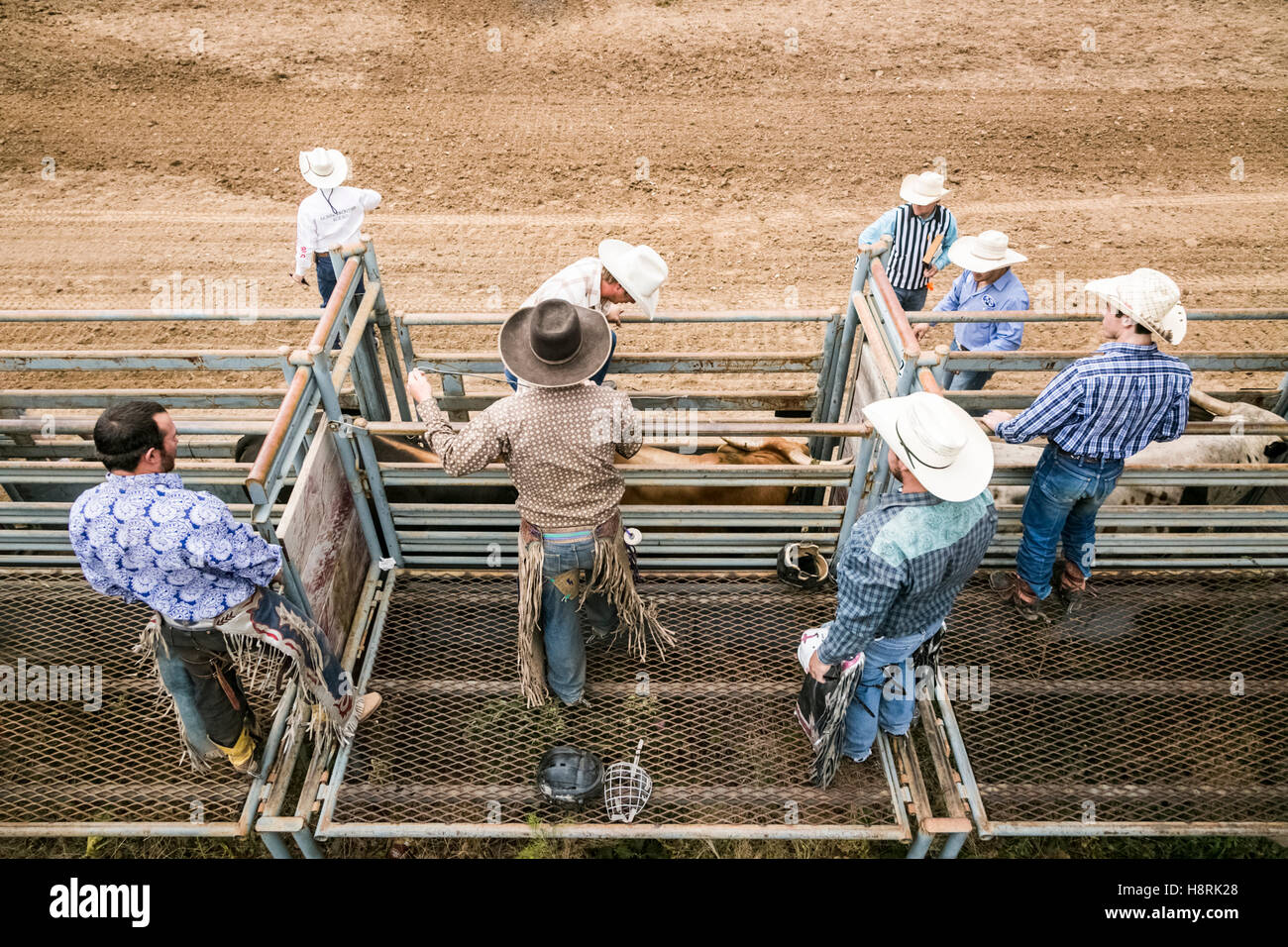 Taos, New Mexico, USA. Small town western rodeo. Bull riding ...