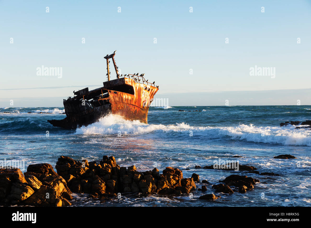 Africa; South Africa; African; Western Cape; Agulhas; National Park ...