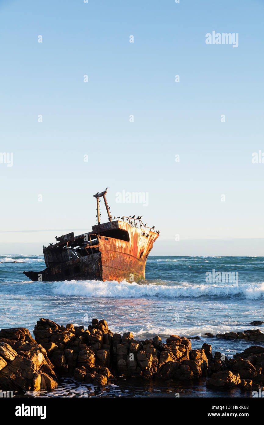 Africa; South Africa; African; Western Cape; Agulhas; National Park ...