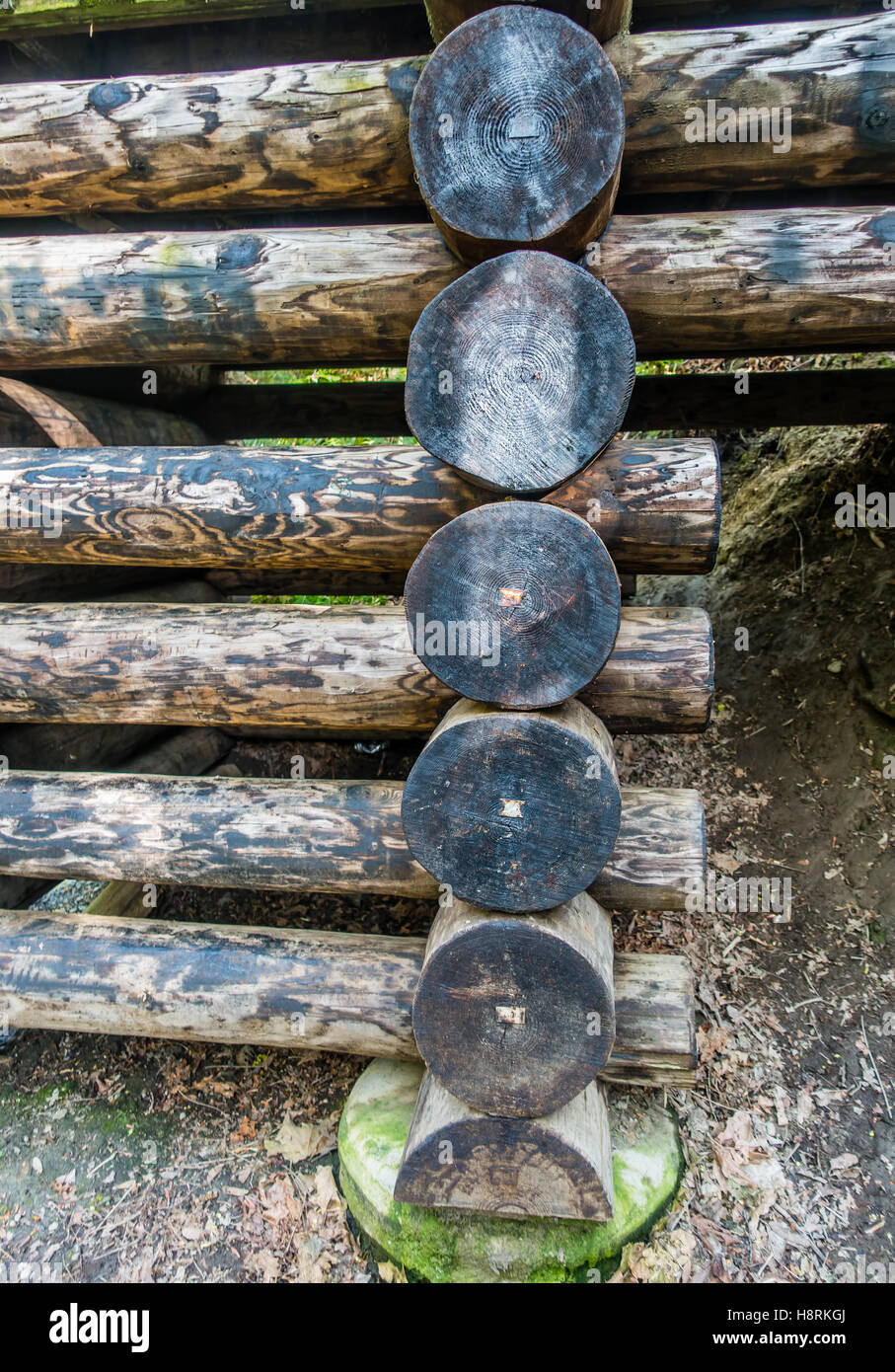 Log bridge hi-res stock photography and images - Alamy