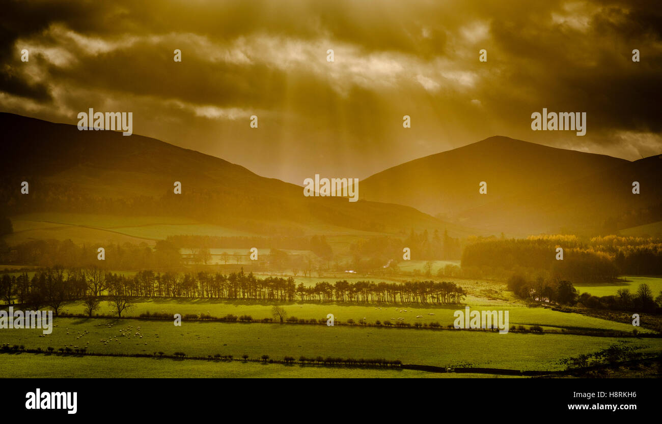 Misty autumn sunshine in the Tweed valley near Broughton, Scottish ...