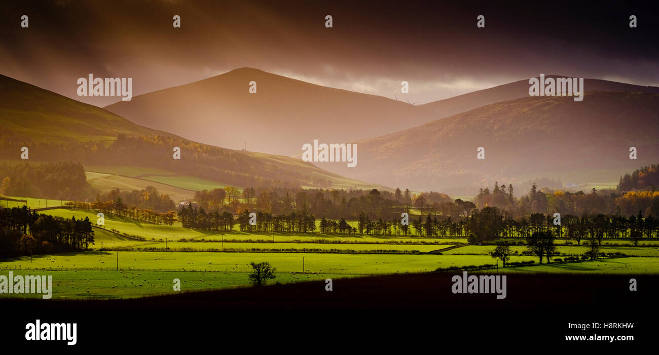 Misty autumn sunshine in the Tweed valley near Broughton, Scottish ...