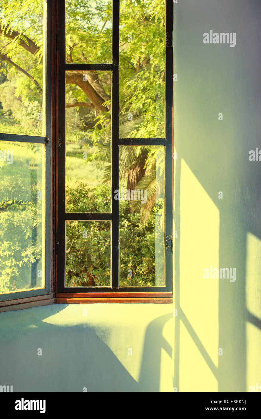 View to garden through window Stock Photo - Alamy