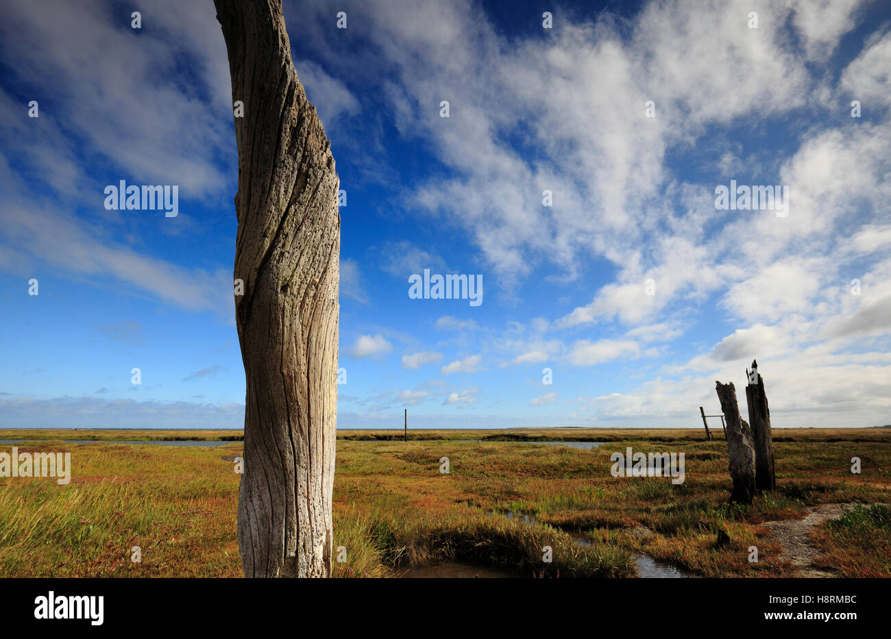 Old wooden posts hi-res stock photography and images - Alamy