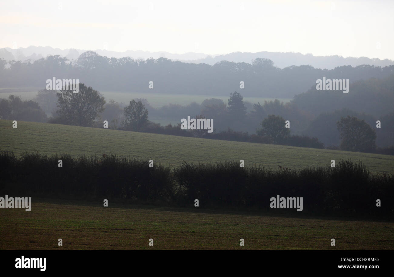 Footpath farm land hi-res stock photography and images - Alamy