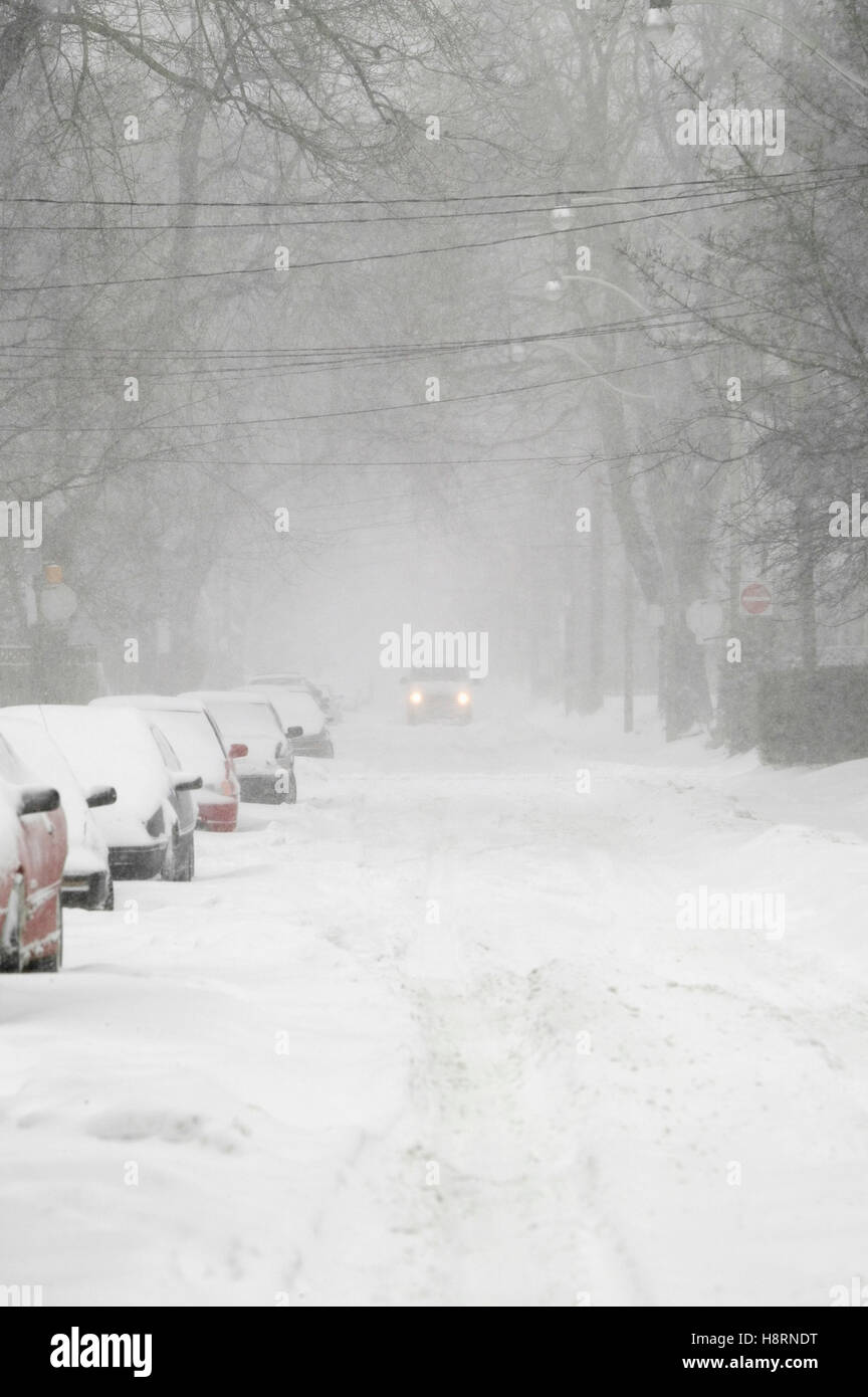 Snowstorm in Toronto Ontario Canada Stock Photo - Alamy