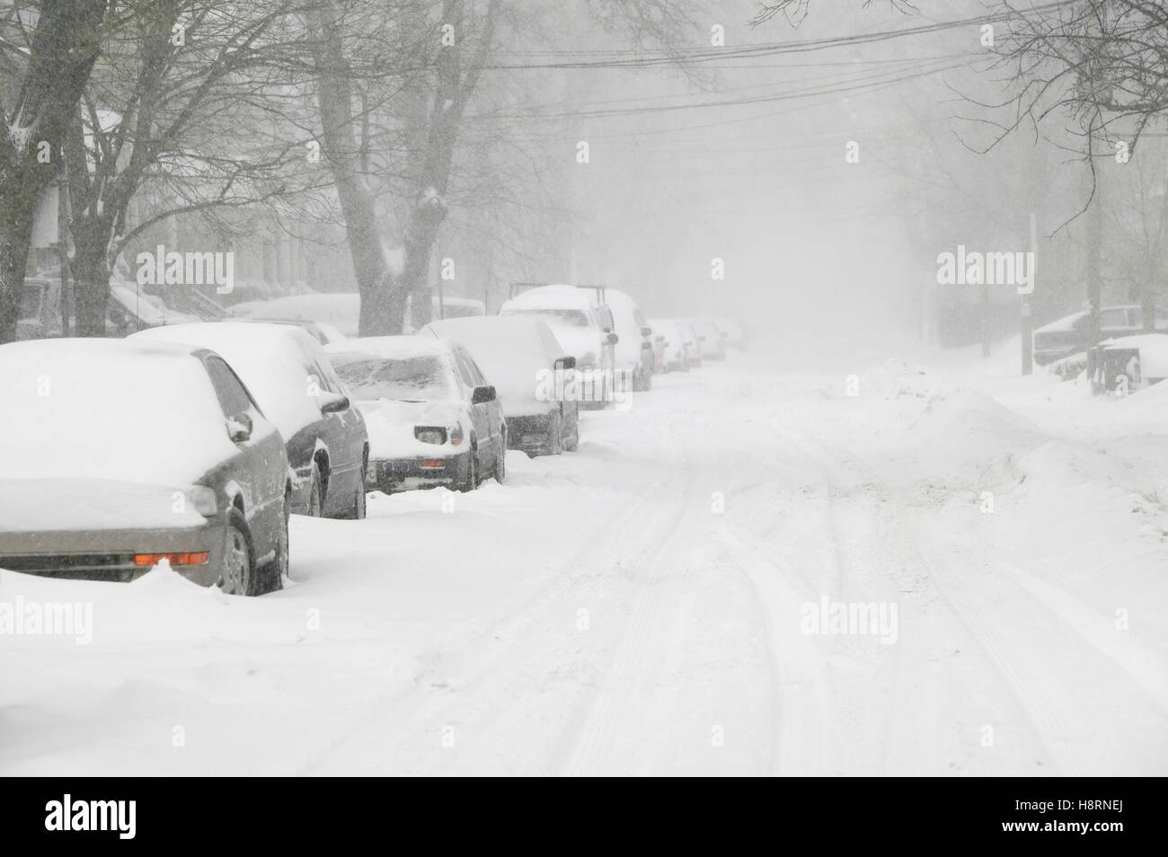 Snowstorm in Toronto Ontario Canada Stock Photo - Alamy