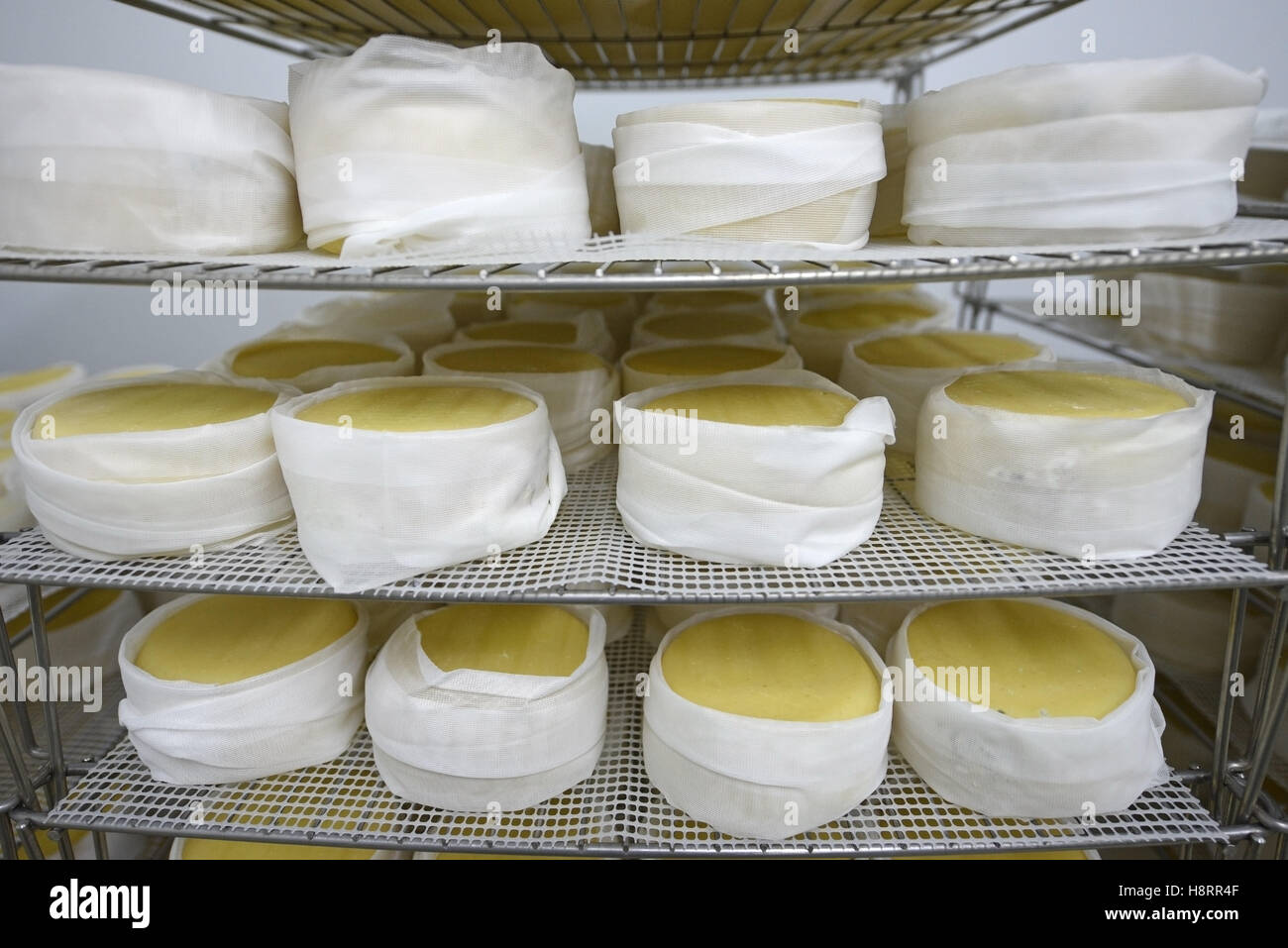Queijo da Serra cheese rack at a factory in Portugal Stock Photo - Alamy