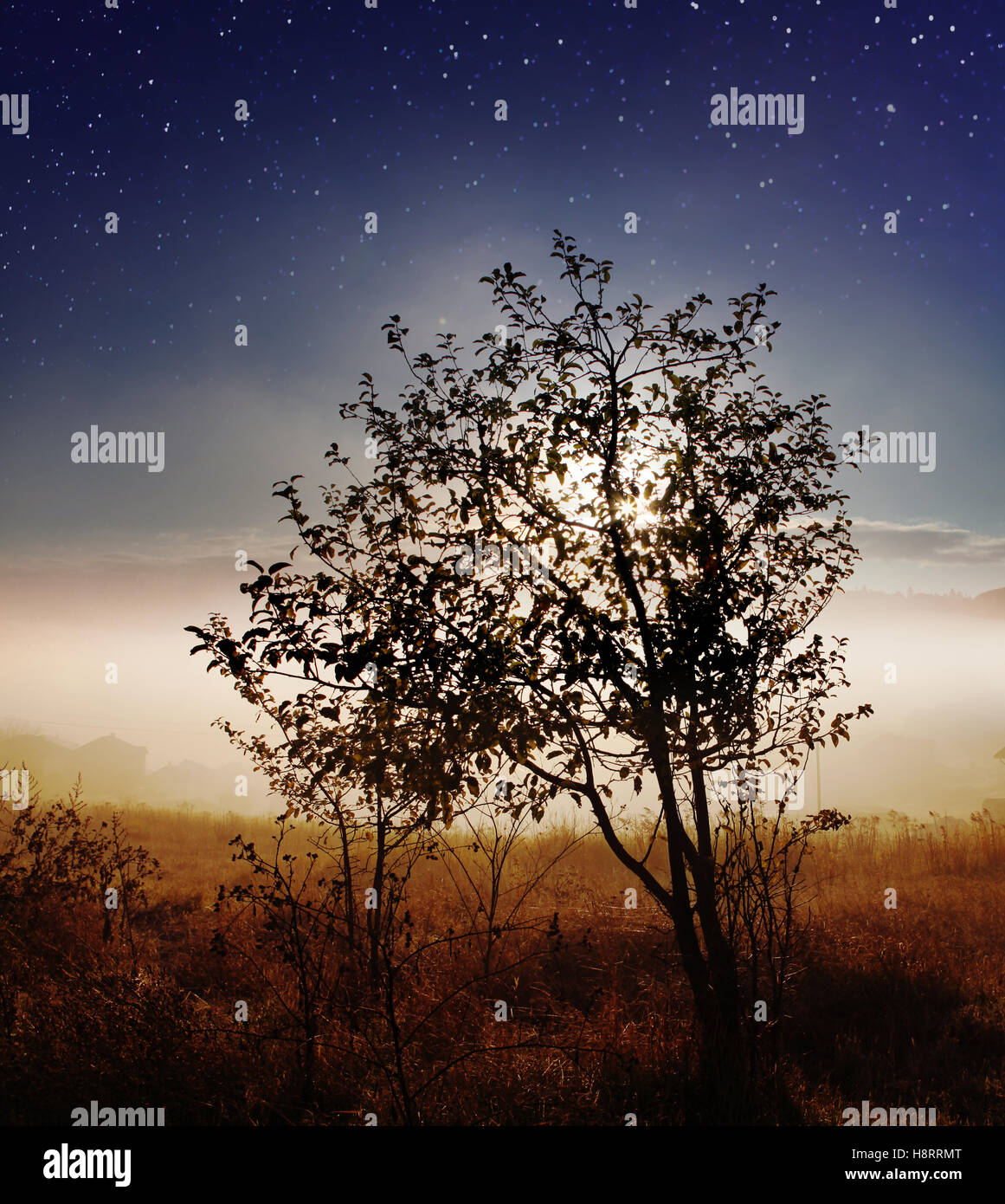 star sky with fog over countryside at autumn Stock Photo - Alamy