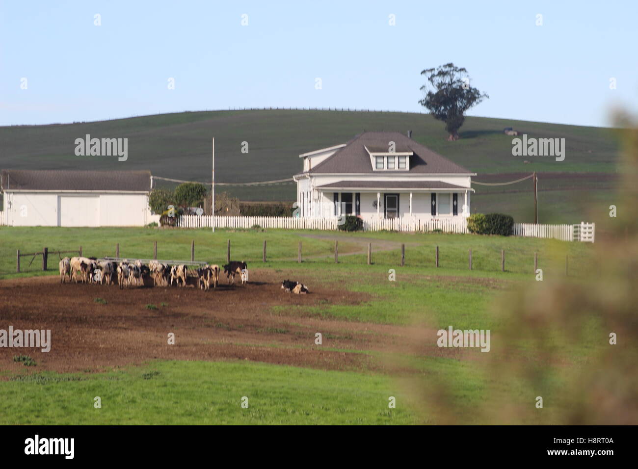 Ranch bungalow hi-res stock photography and images - Alamy