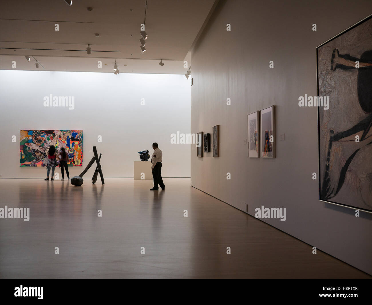 The Cantor Arts Center, Stanford University, California. Diverse ...