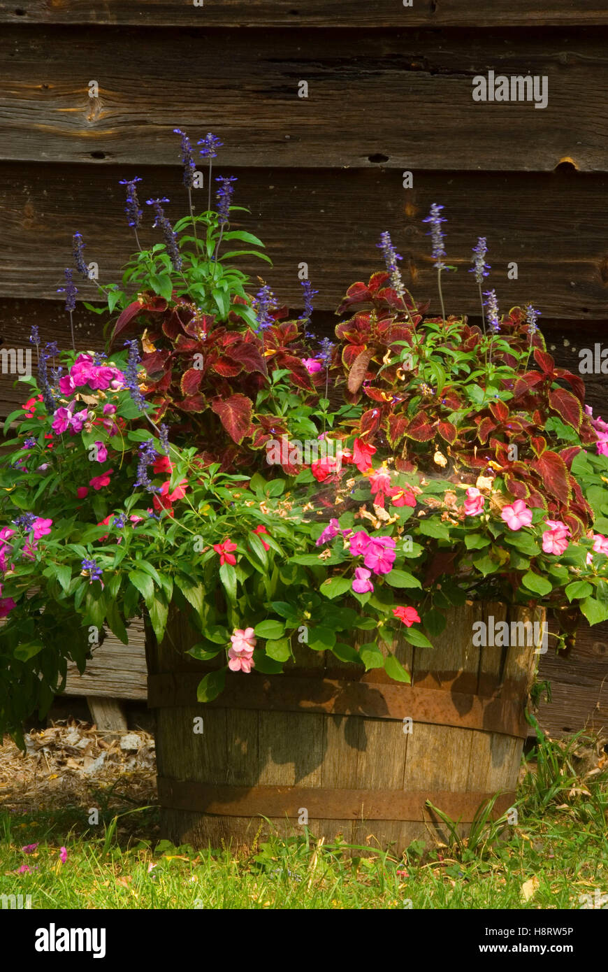 Gulian hi-res stock photography and images - Alamy