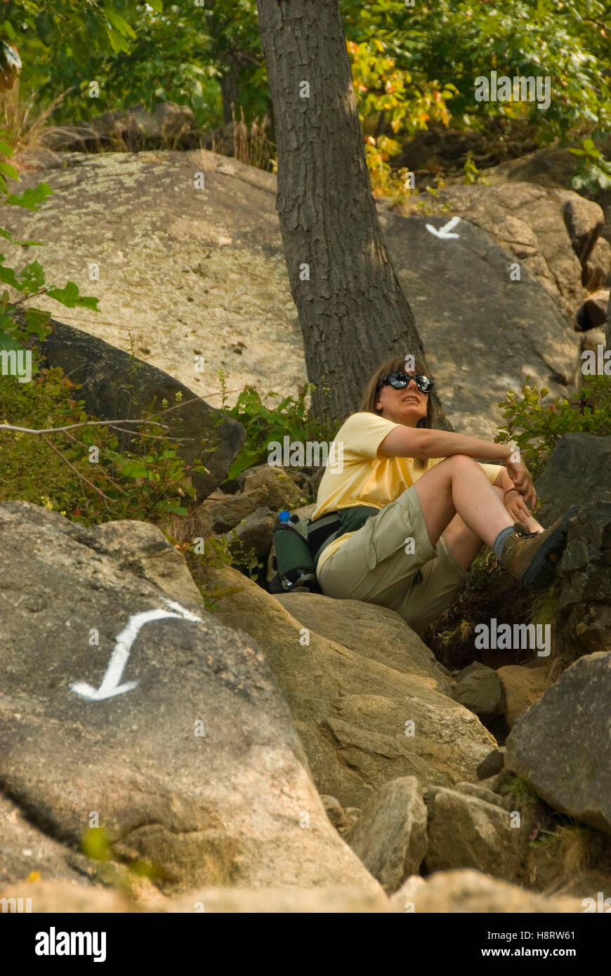 Breakneck Ridge Trail, Hudson Highlands State Park, New York Stock ...