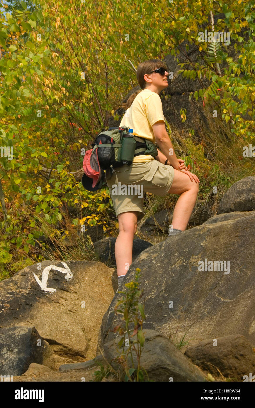 Breakneck Ridge Trail, Hudson Highlands State Park, New York Stock ...