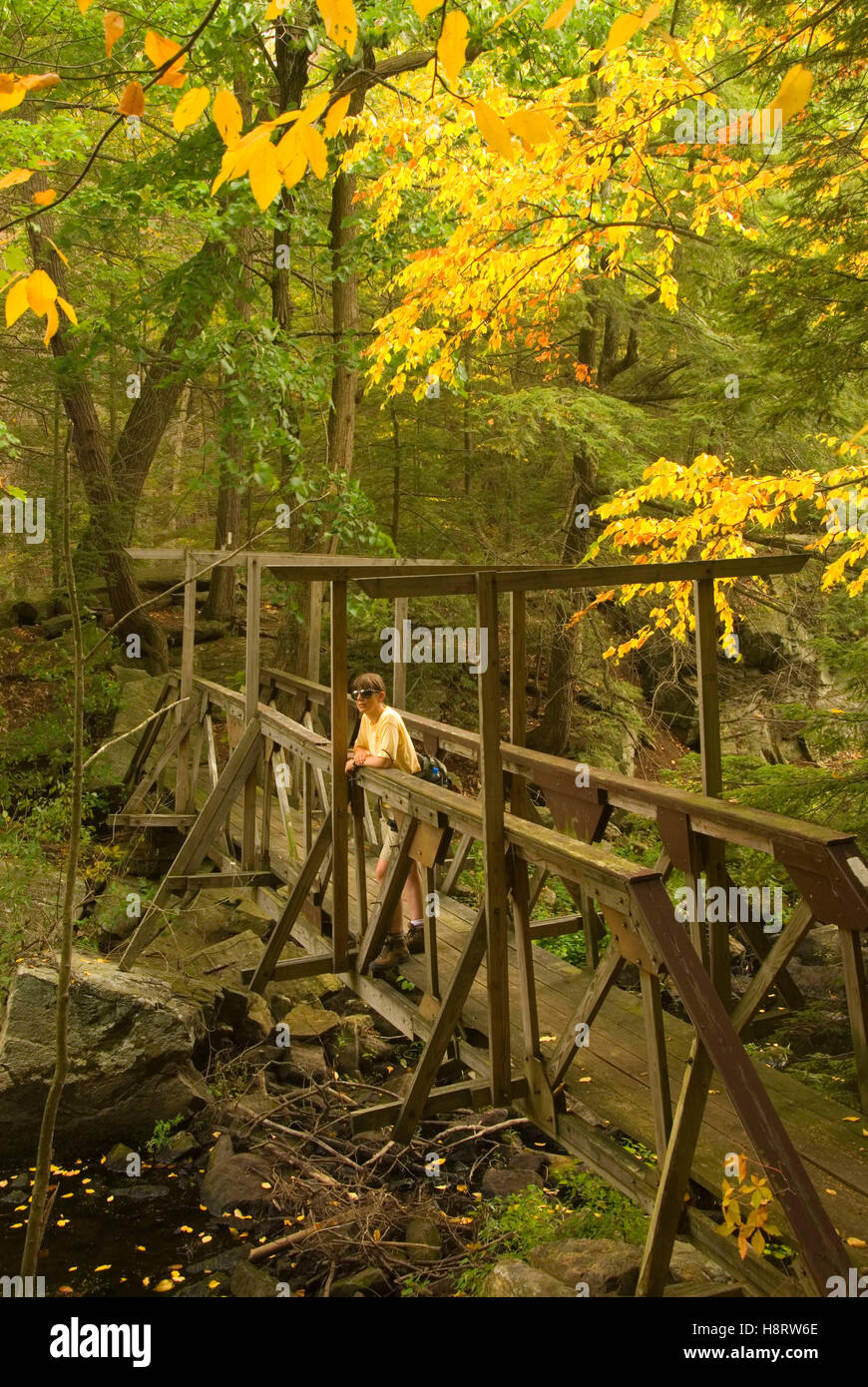 Appalachian Trail bridge, Sterling Forest State Park, New York Stock ...