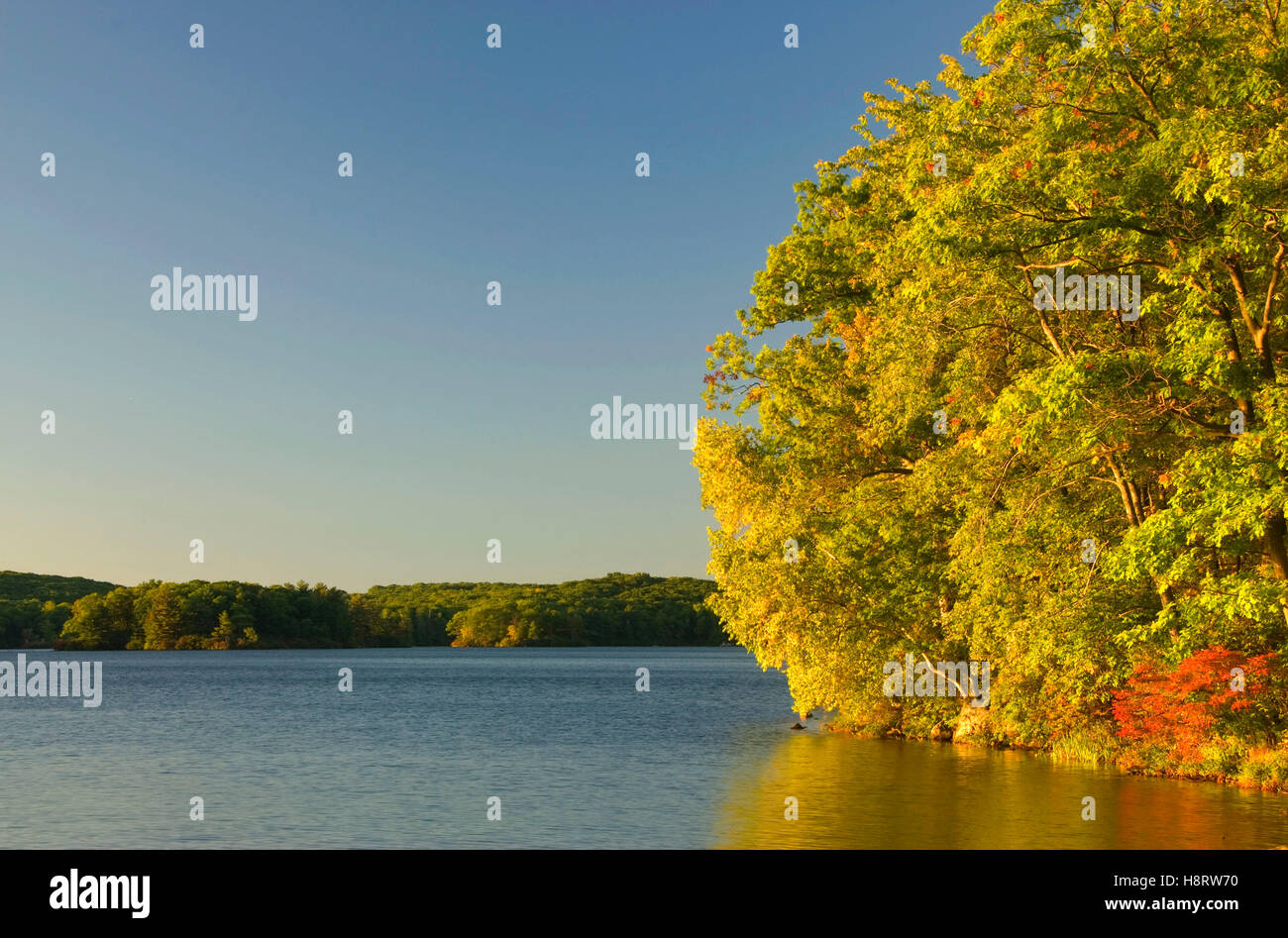 Lake Tiorati, Harriman State Park, New York Stock Photo - Alamy
