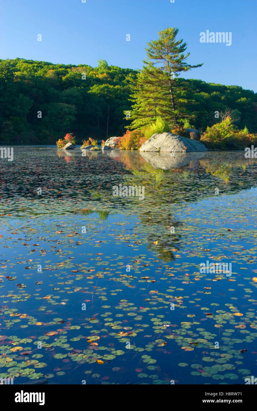 Little Long Pond, Harriman State Park, New York Stock Photo - Alamy