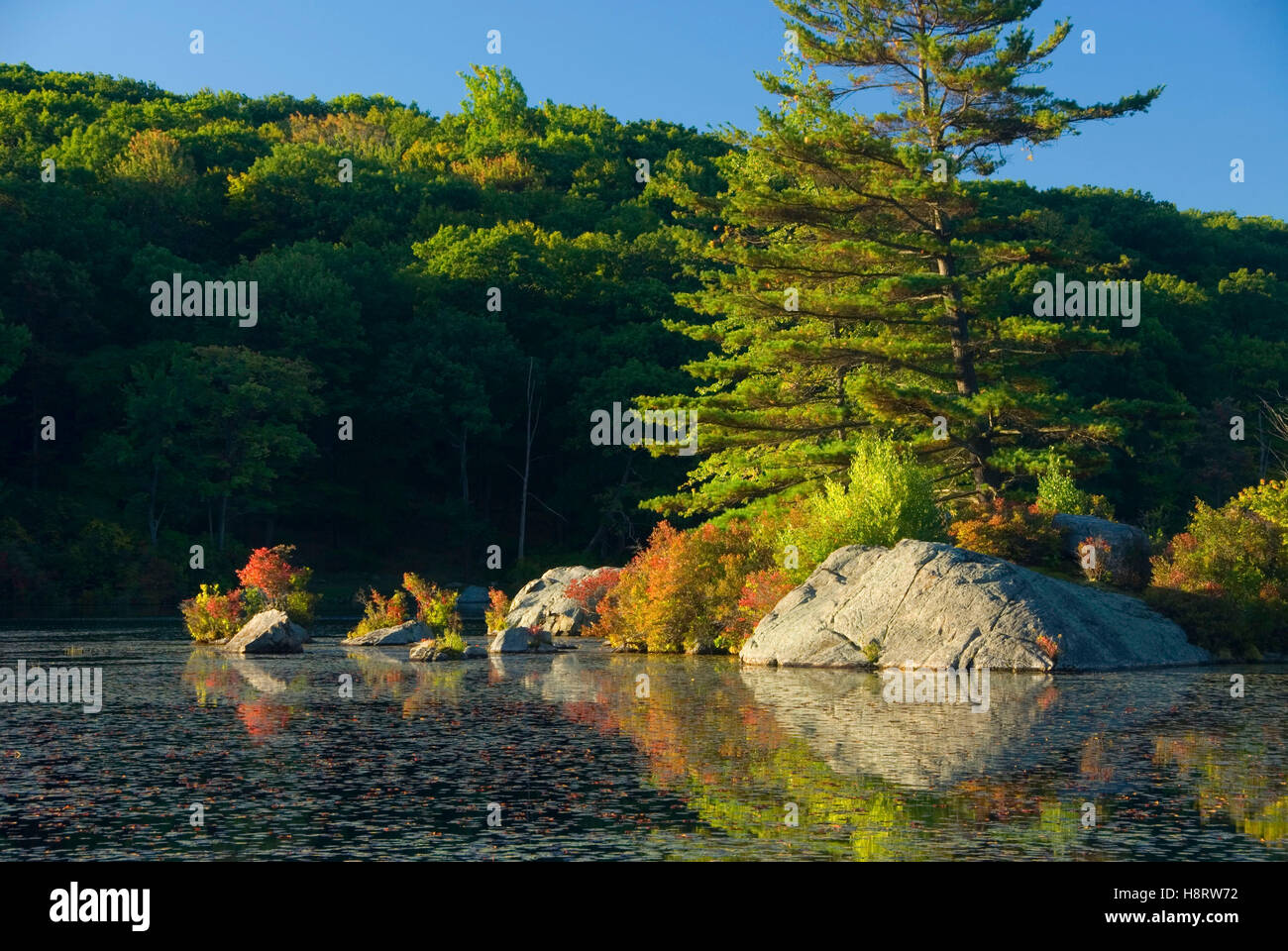 Little Long Pond, Harriman State Park, New York Stock Photo - Alamy