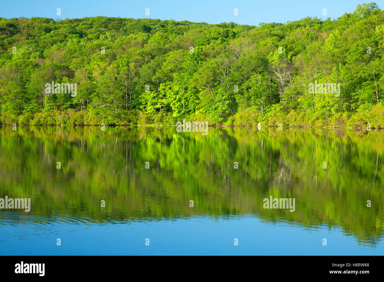 Lake Askoti, Harriman State Park, New York Stock Photo - Alamy