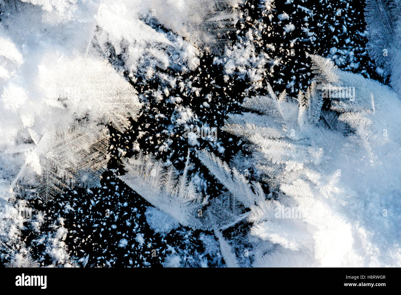excellent frost pattern on a water surface Stock Photo - Alamy