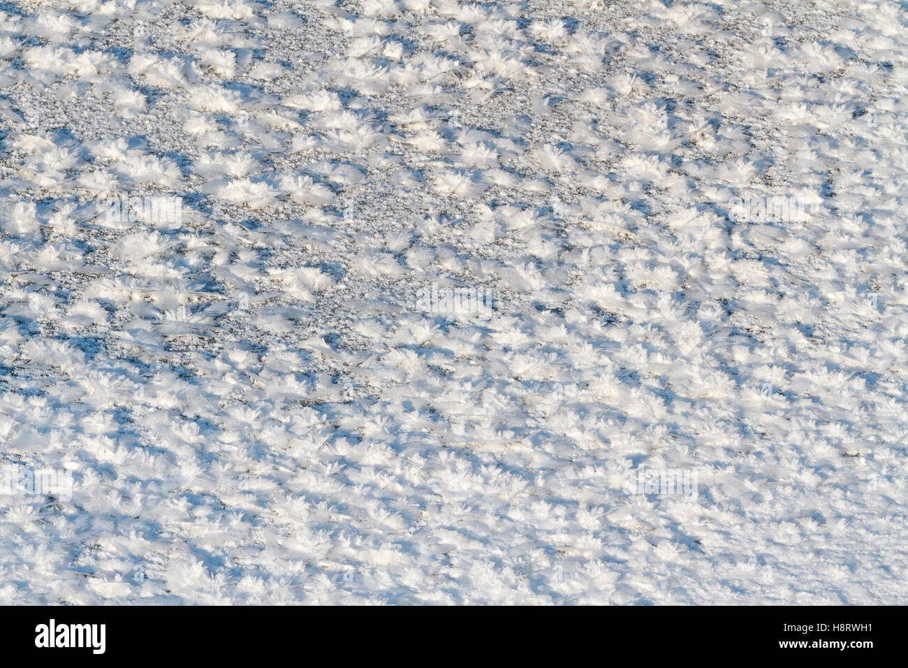 Excellent wallpaper hi-res stock photography and images - Alamy