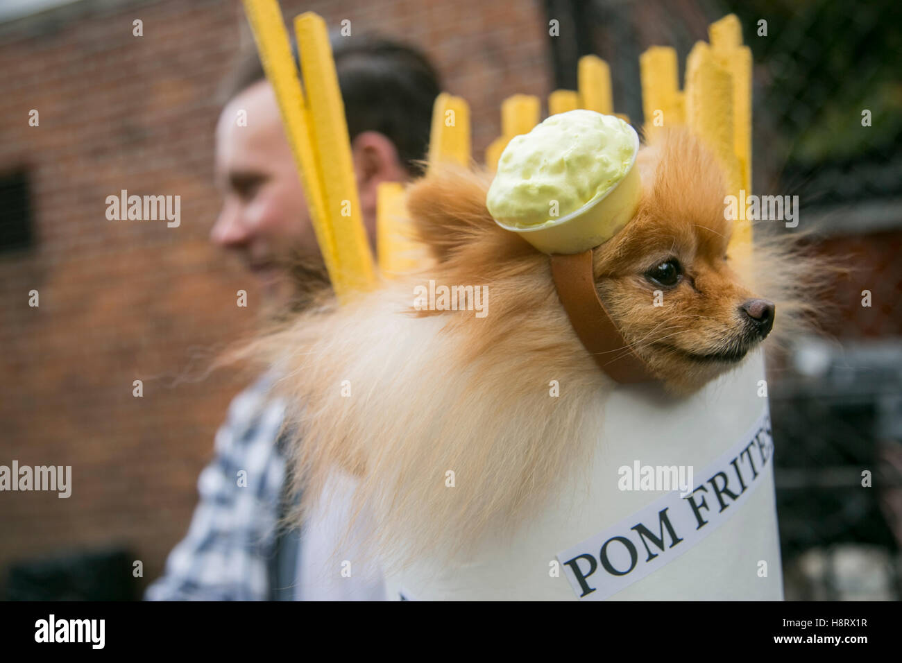 Tompkins square park hi-res stock photography and images - Alamy