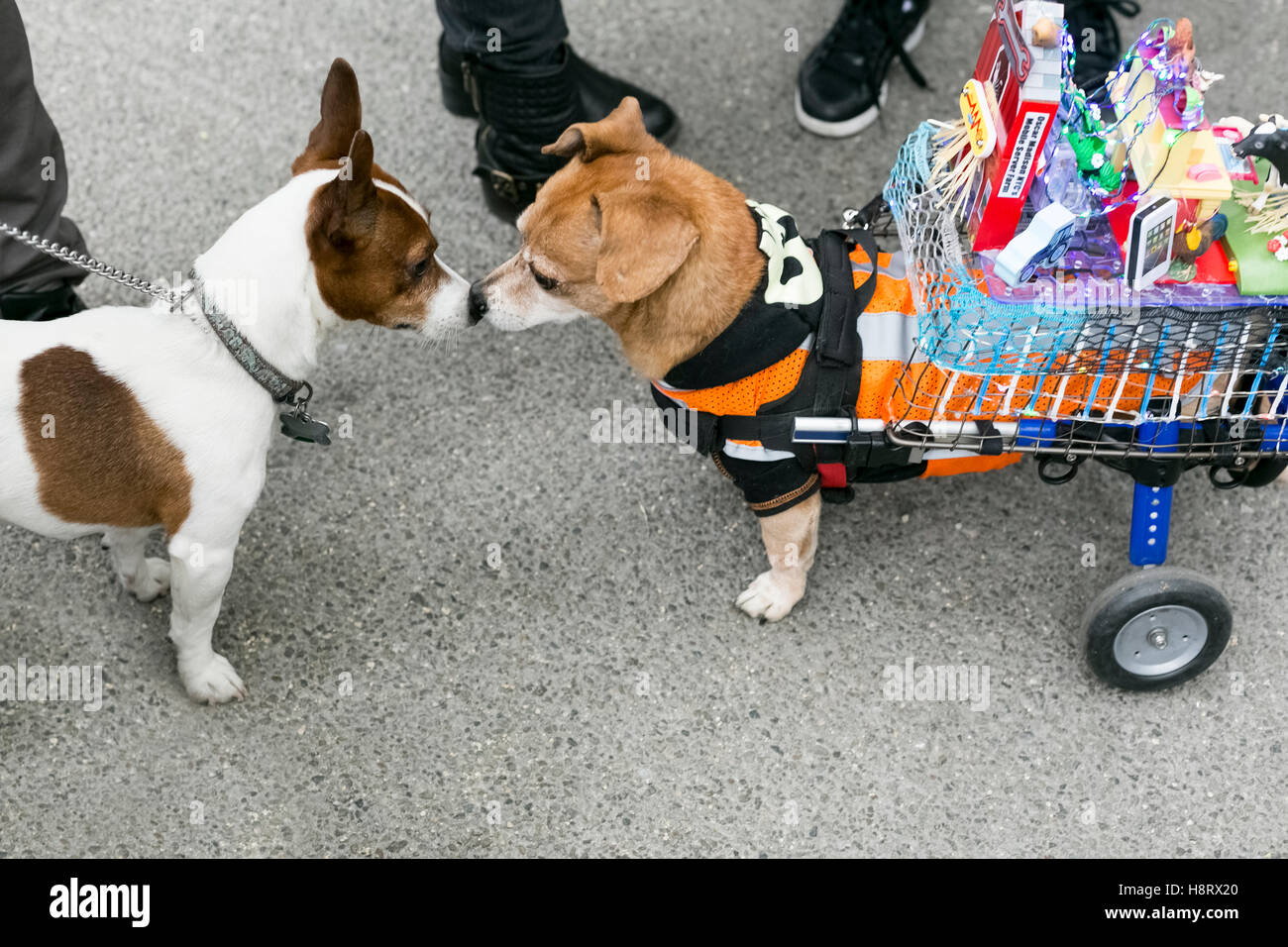 Tompkins square park hi-res stock photography and images - Alamy
