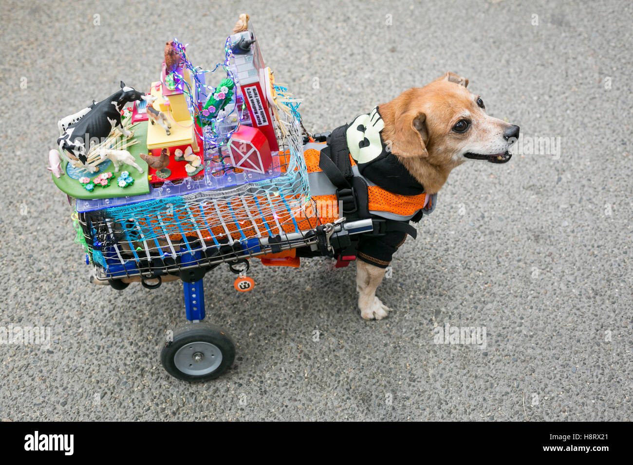 Tompkins square park hi-res stock photography and images - Alamy