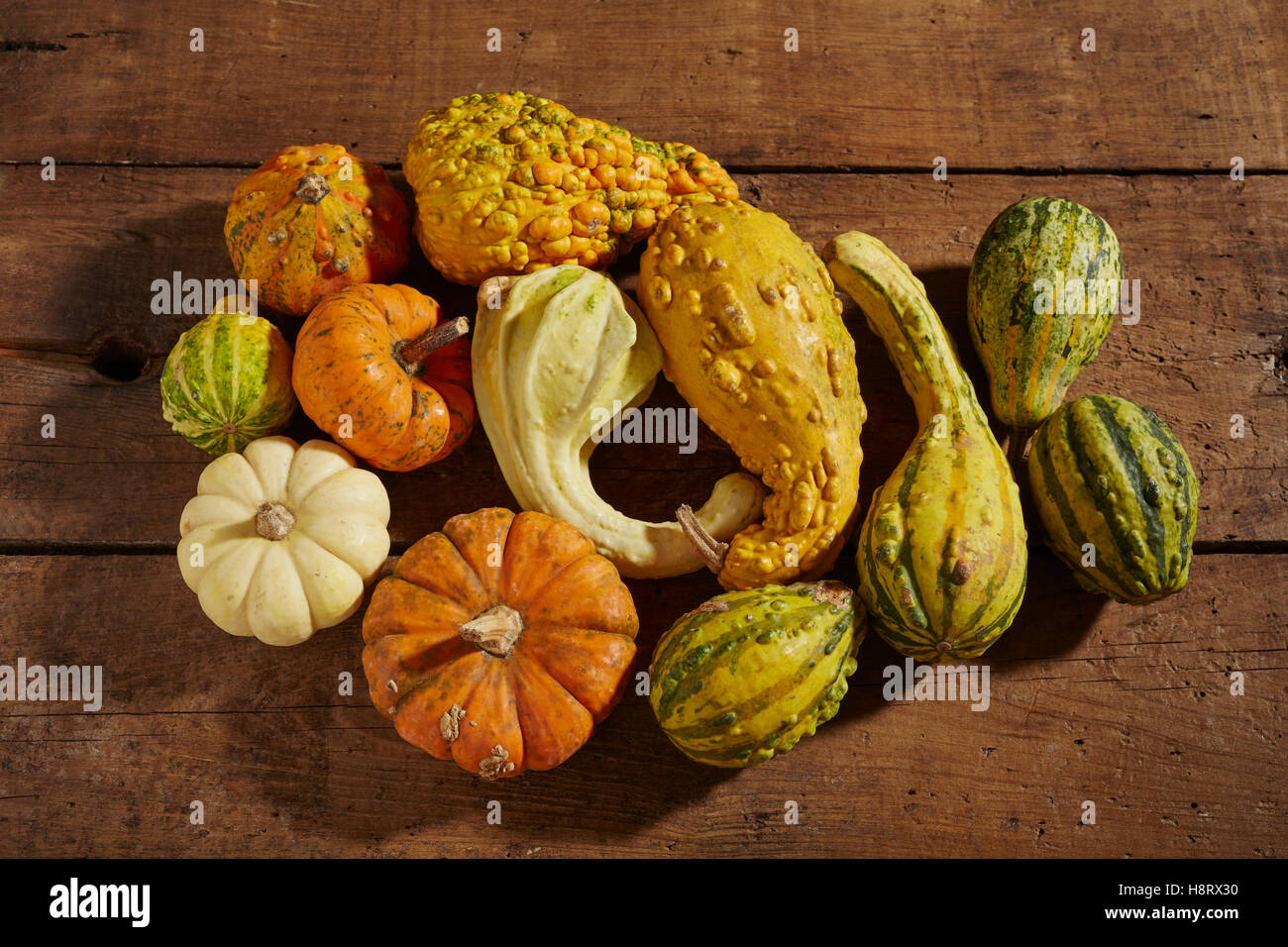 Assorted decorative gourds/marrow Stock Photo - Alamy