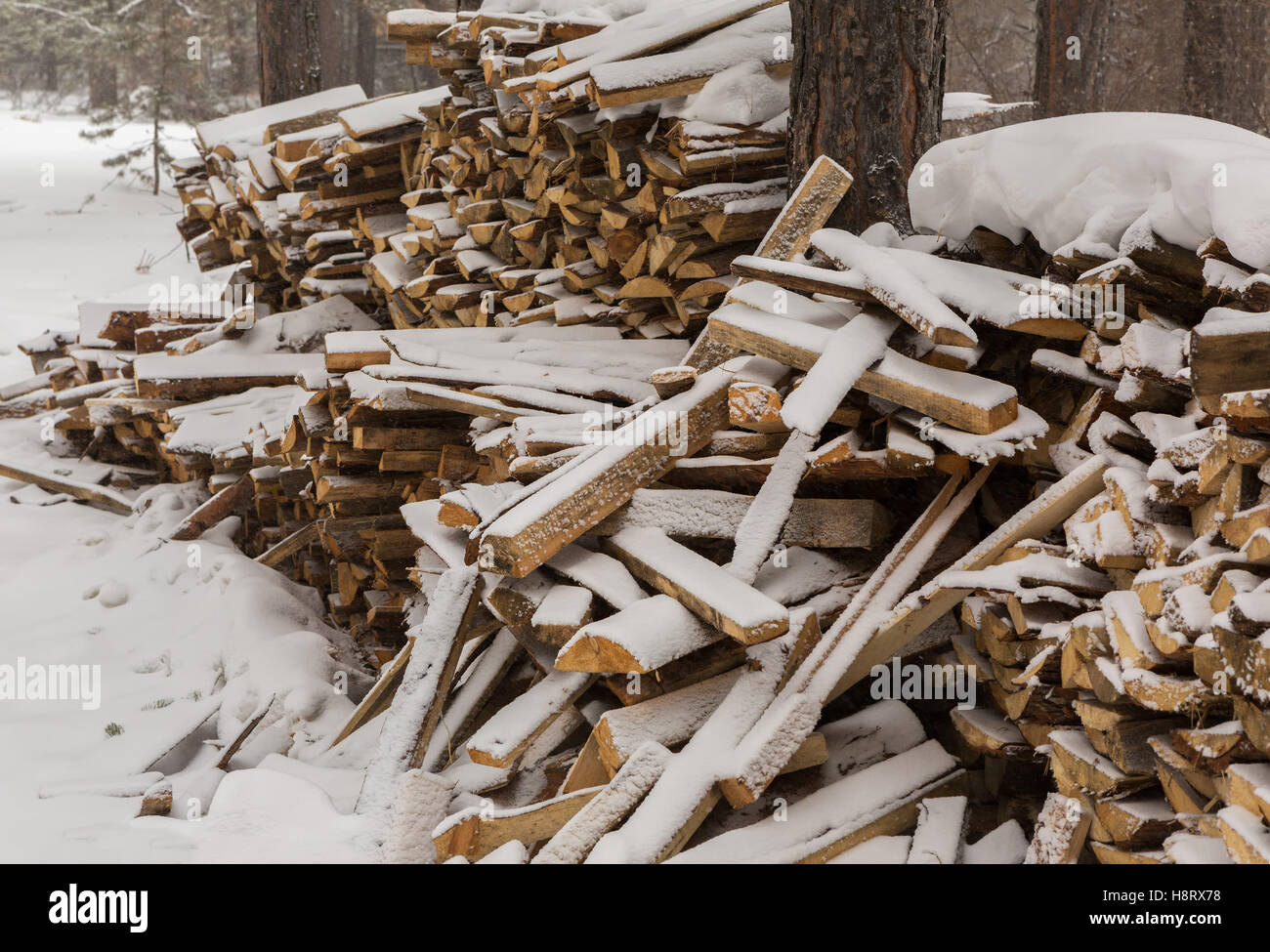 Log fire snow hi-res stock photography and images - Alamy