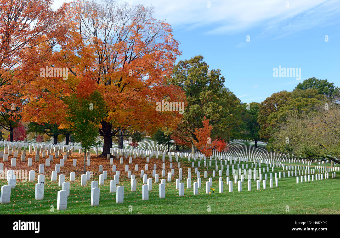 Autumn fall in arlington cemetery hi-res stock photography and images ...