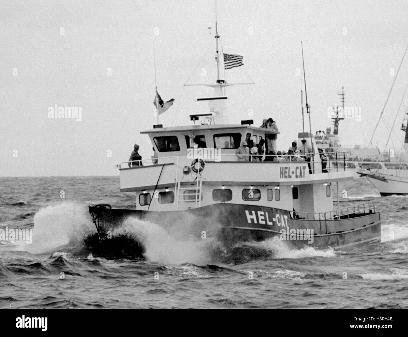 Hel cat hi-res stock photography and images - Alamy