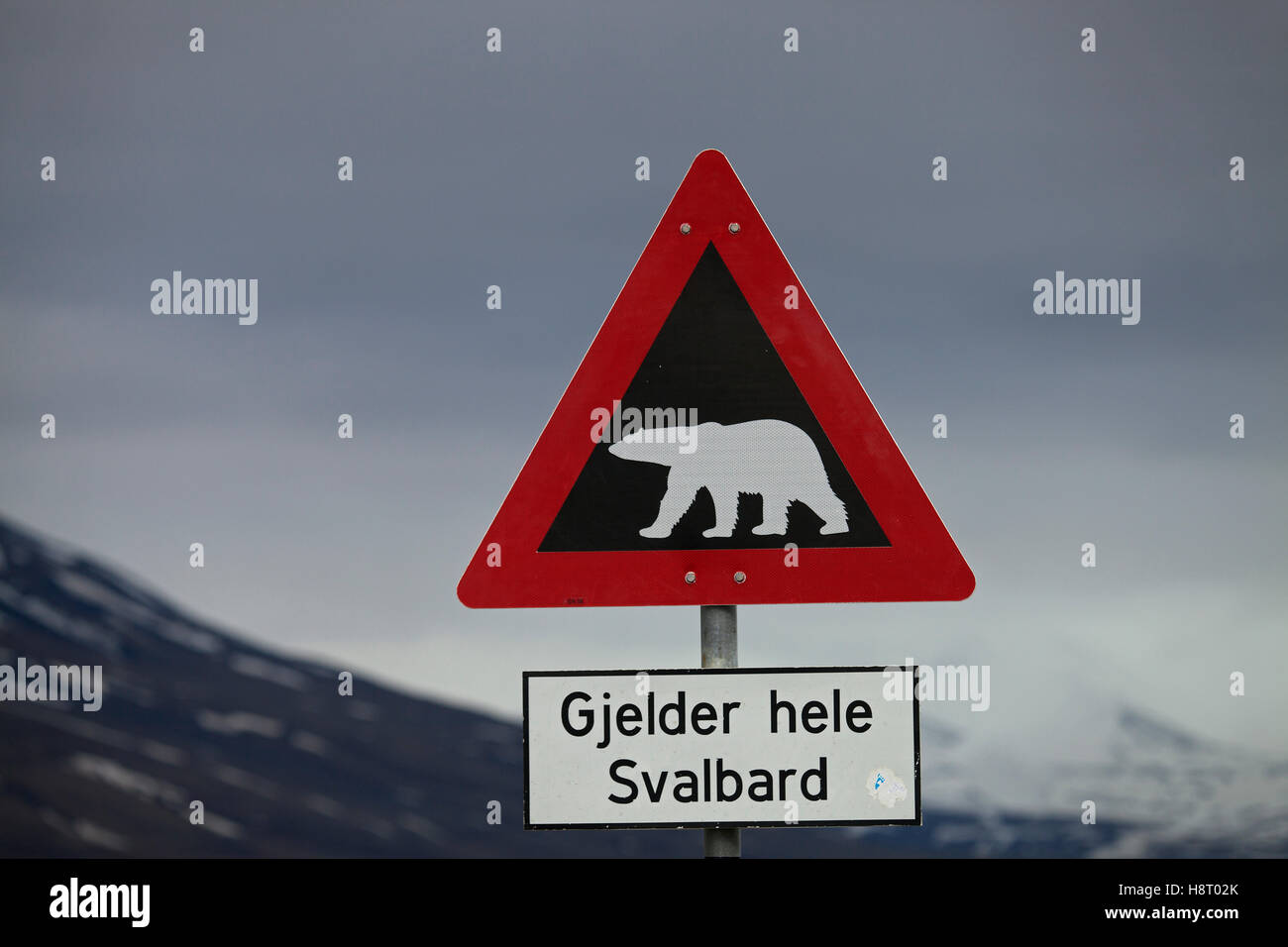 Polar bear warning sign, Longyearbyen, Spitsbergen / Svalbard Stock ...