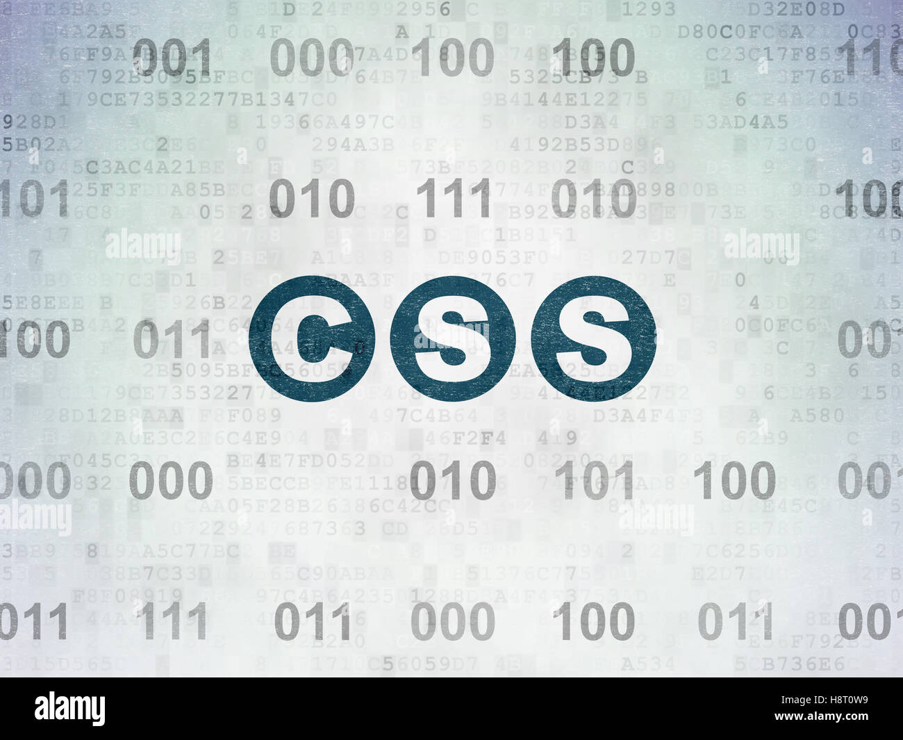 Database concept: Css on Digital Data Paper background Stock Photo - Alamy