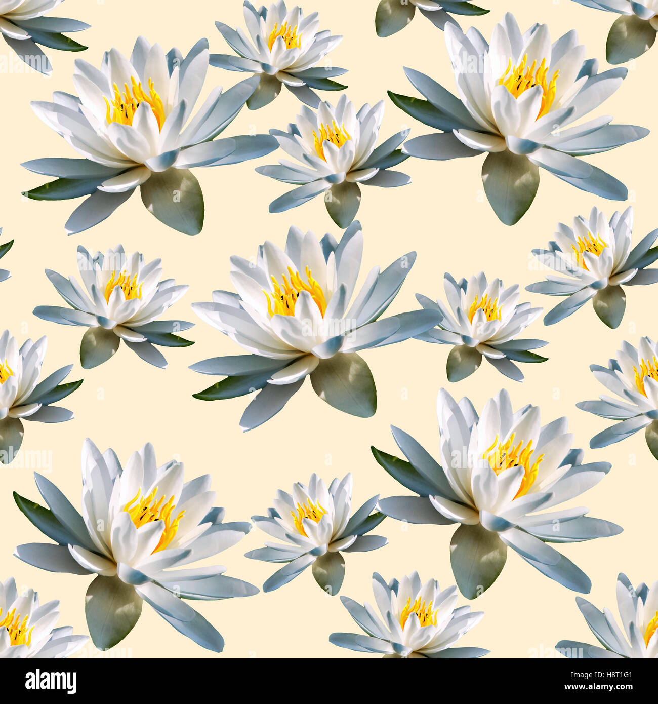 Seamless floral pattern hi-res stock photography and images - Alamy