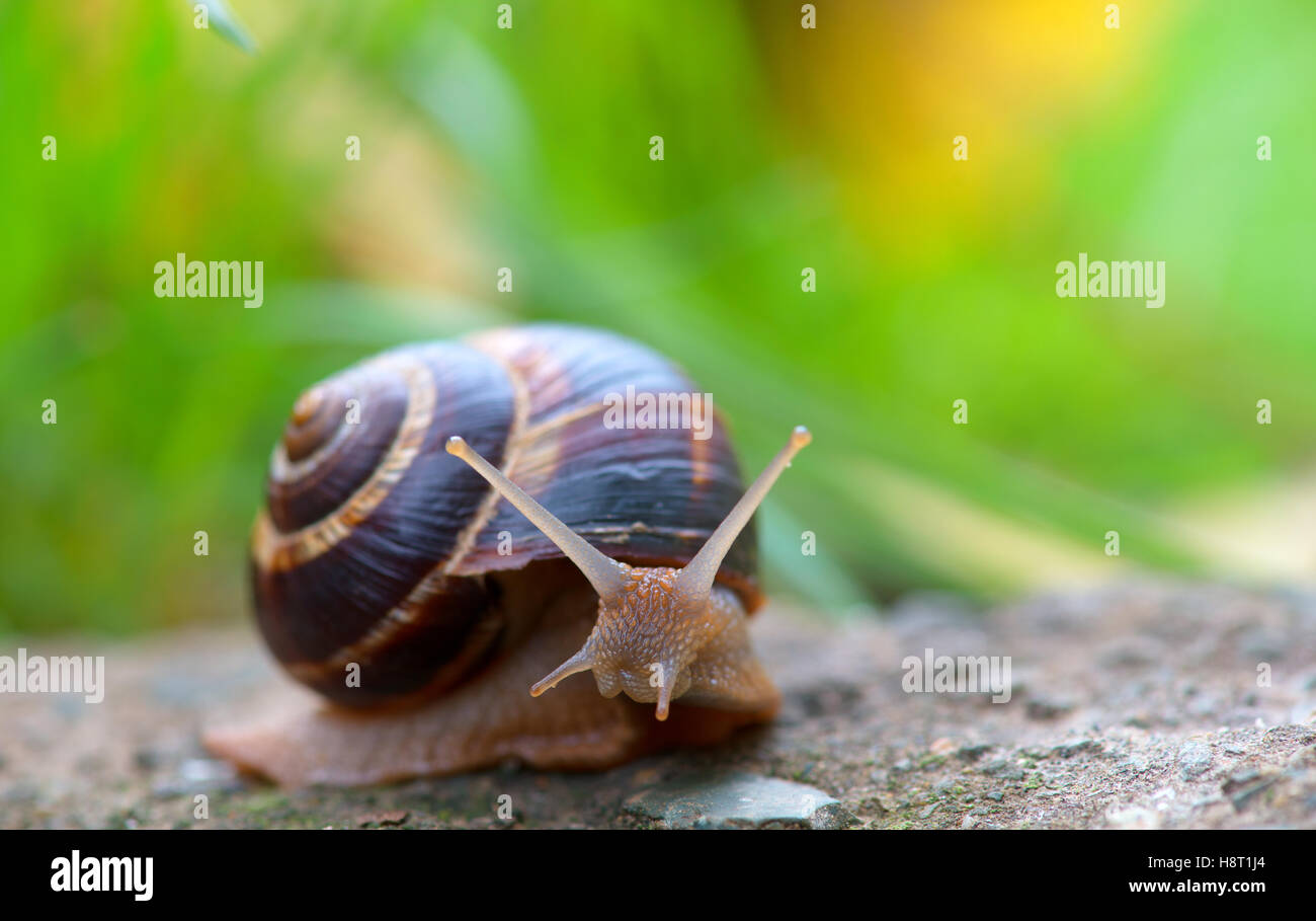 Crawling round hi-res stock photography and images - Alamy