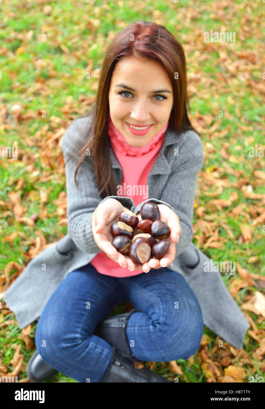 Chestnut plant female hi-res stock photography and images - Alamy
