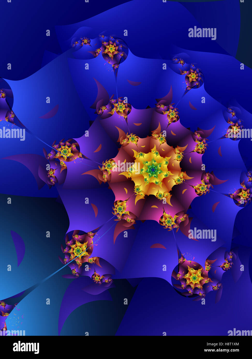 Midnight rose flower hi-res stock photography and images - Alamy